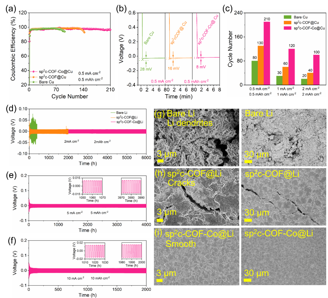 云南大学郭洪团队新突破：COFs单原子金属位点抑制锂枝晶生长的创新研究 - 知乎