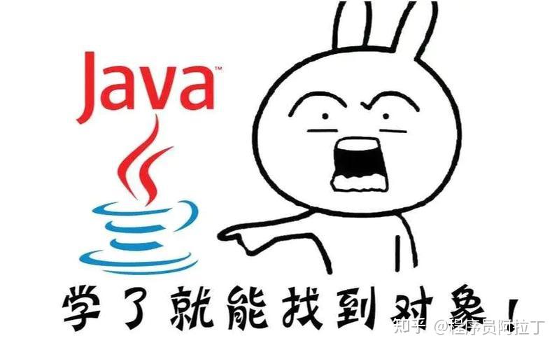 Python和java哪个好学？ 知乎 2490