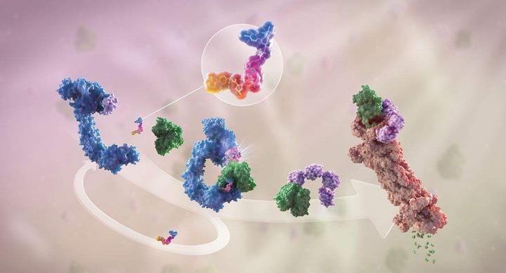 硬核梳理|一文教你区分PROTAC，LYTAC，AUTAC..... - 知乎