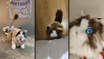 大象机器人：超萌metaCat米塔猫，硬科技也可以柔软治愈 - 知乎