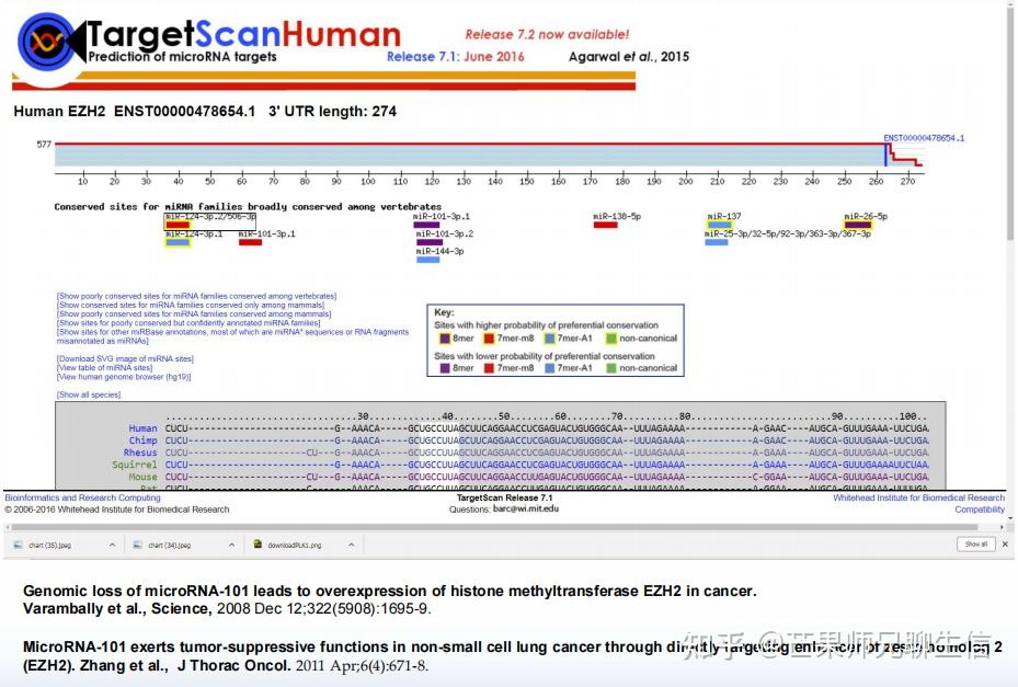 肿瘤免疫 · 实操教程Day10.UALCAN使用教程 - 知乎