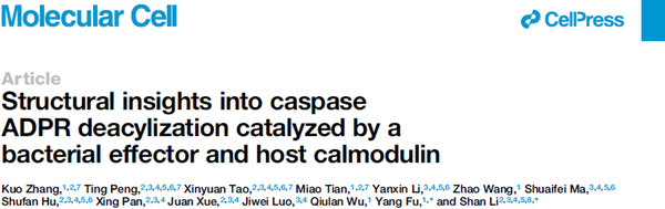 Mol Cell︱李姗/傅暘课题组合作揭示病原菌催化新型翻译后修饰ADP-核糖脱氨环化的分子机制 - 知乎