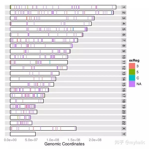画最美染色体，就要用这个新工具 | 今天被CRAN接收 - 知乎