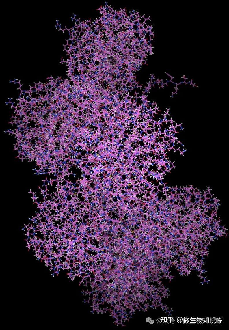 分子对接（五）：Autodock分子对接详细技术全攻略 - 知乎