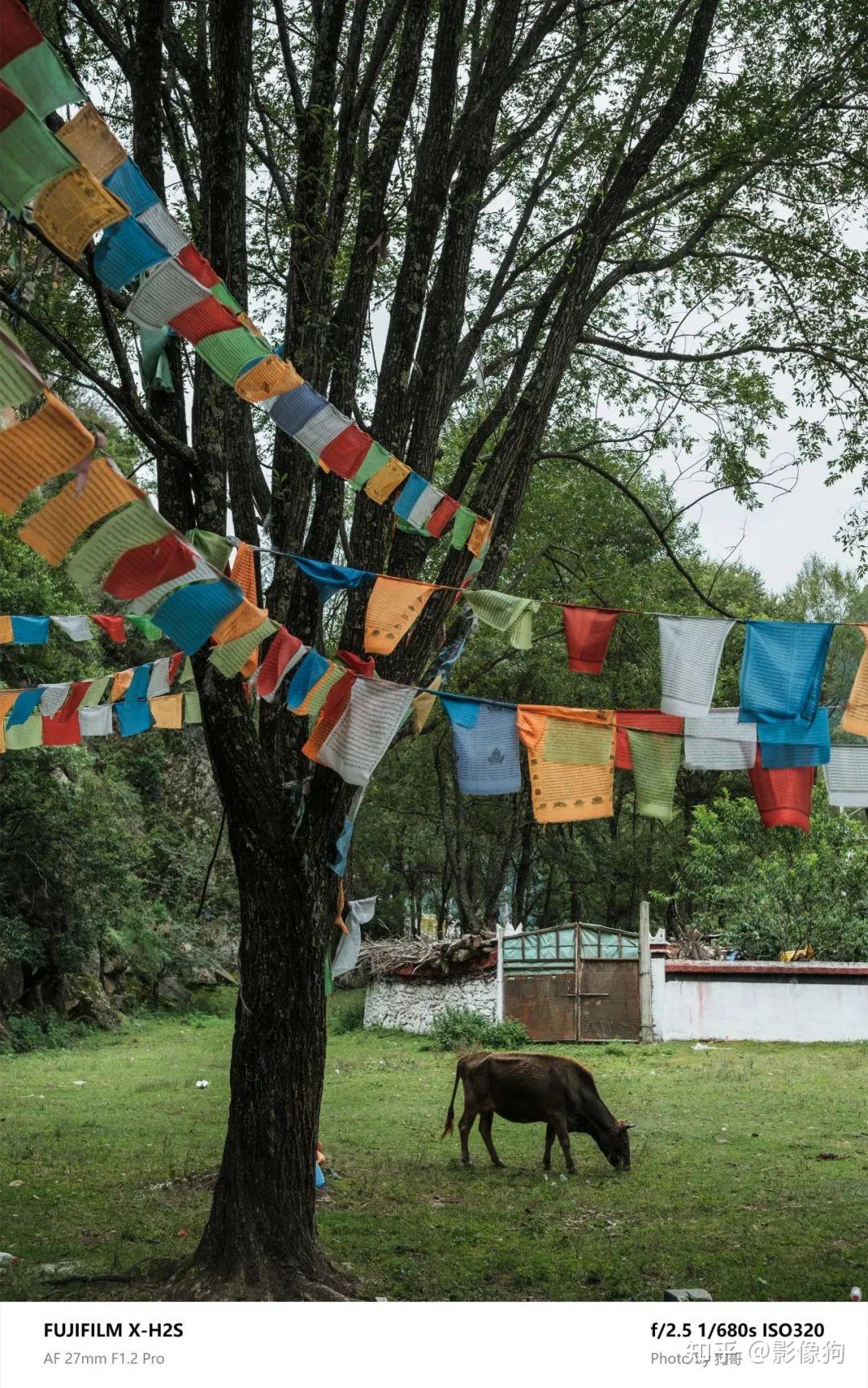 锐度爆表的国产镜头？唯卓仕AF 27mm F1.2 Pro镜头测评 - 知乎