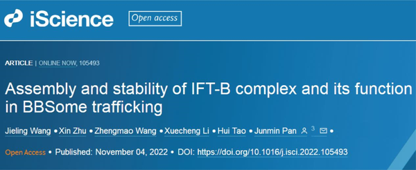 iScience︱清华大学潘俊敏课题组揭示IFT-B复合体的组装和稳定的新机制及其在BBSome运输中的新功能 - 知乎