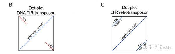 转座子（TE）重头注释流程 - 知乎