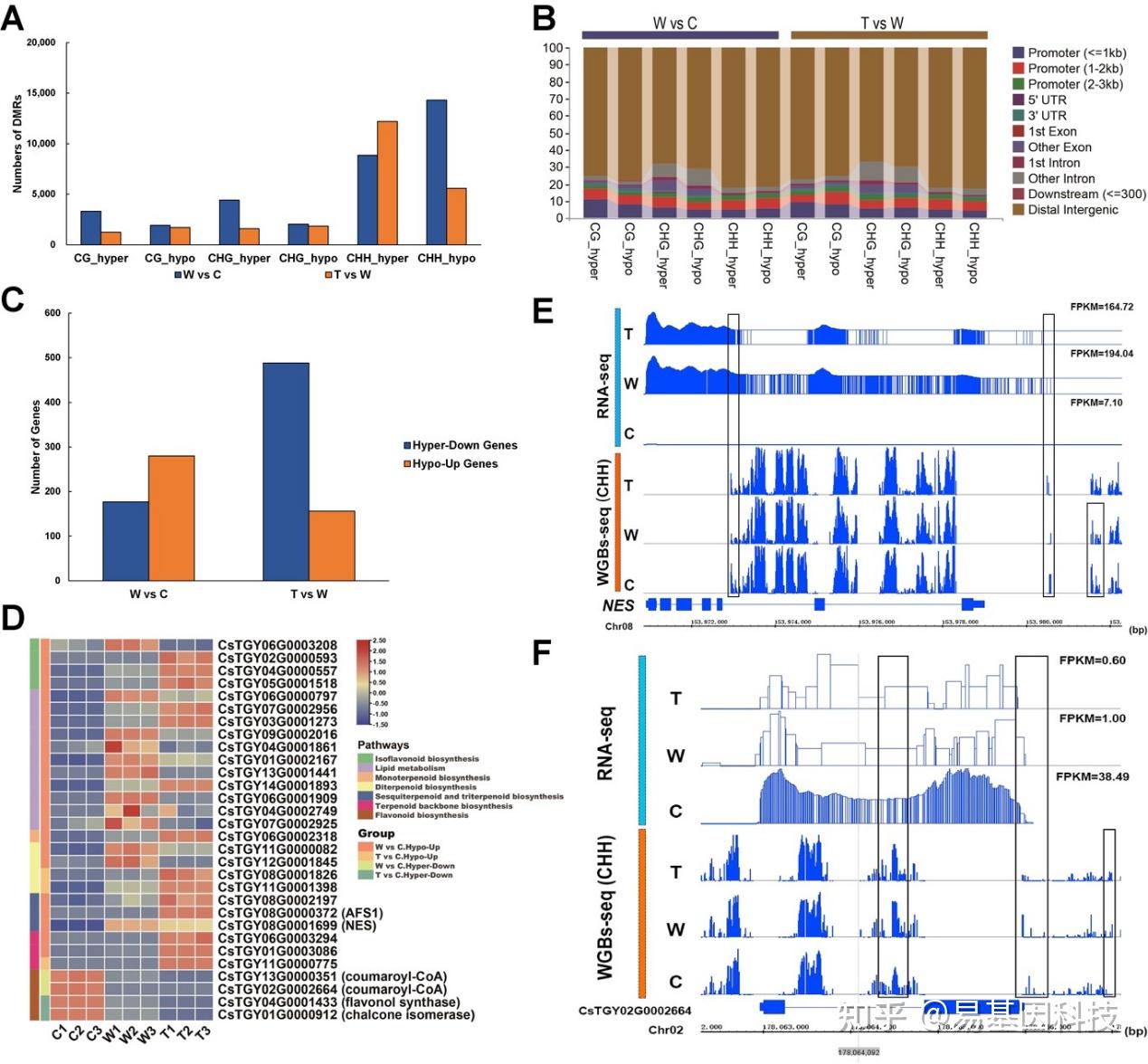 易基因：5mC DNA甲基化介导茶树组织功能分化和重要风味物质合成调控｜植物研究 - 知乎