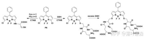 CAS号:2183473-45-0|BDP FL HYDRAZIDE|齐岳生物 - 知乎