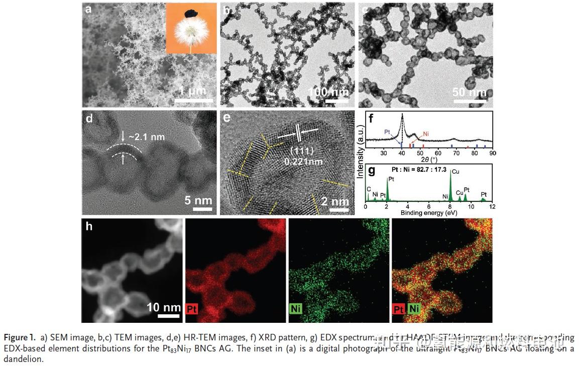 AEM：可扩展可控制的合成Pt-Ni束状纳米笼气凝胶作为高效氧还原反应电催化剂 - 知乎