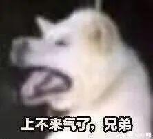 发疯发癫的表情包 - 知乎