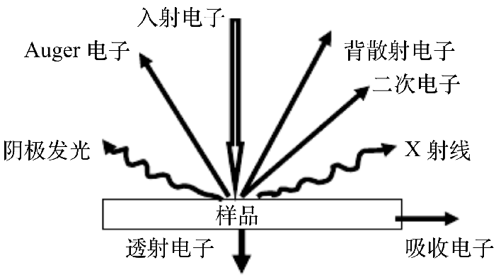 干货 | 使用电子探针显微分析（EPMA）必备知识 - 知乎