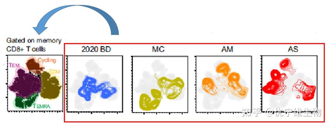 【罗工流式秘籍68】流式大数据t-SNE和UMAP的结果图看不懂？不会用？ - 知乎