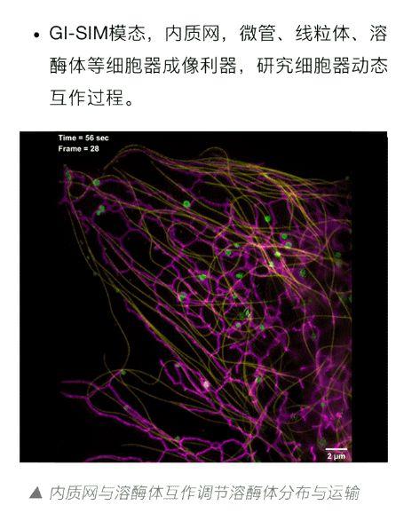AMEYA丨蔡司携纳析科技推出新一代Multi-SIM,共探细胞微观世界 - 知乎