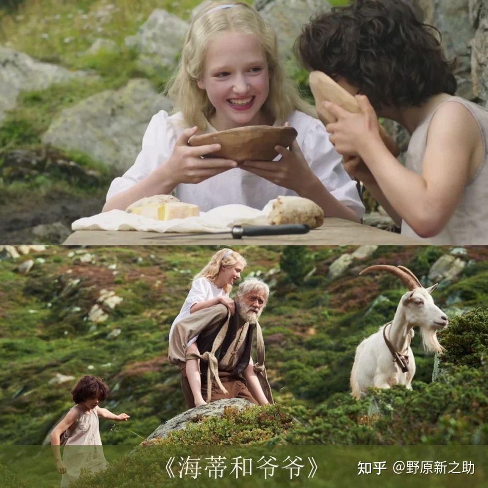你似乎来到了没有知识存在的荒原 知乎