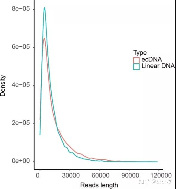 CCDA-seq：一种单分子层级研究ecDNA染色质开放性的新技术 - 知乎
