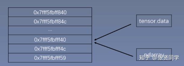 [PyTorch 学习笔记] 1.2 Tensor(张量)介绍 - 知乎
