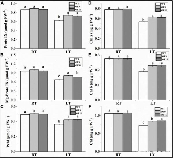 「Front Plant Sci」辣椒的CaALAD基因赋予转基因拟南芥耐寒性 - 知乎