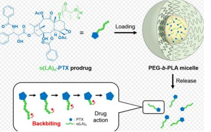 PLGA-PEG-Ce6/PLGA/PEG1/2/3/4/5/10K 聚乳酸羟基乙酸共聚物-聚乙二醇-二氢卟吩e6 - 知乎