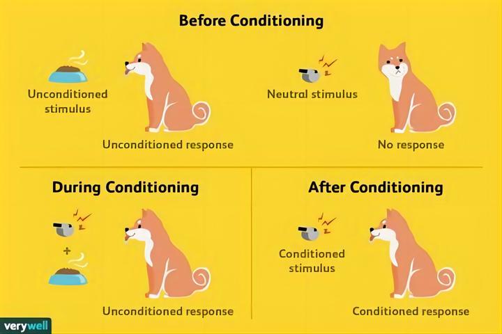 外刊学习 | 什么是“conditioned”？再谈“习惯做某事”的相关表达 - 知乎
