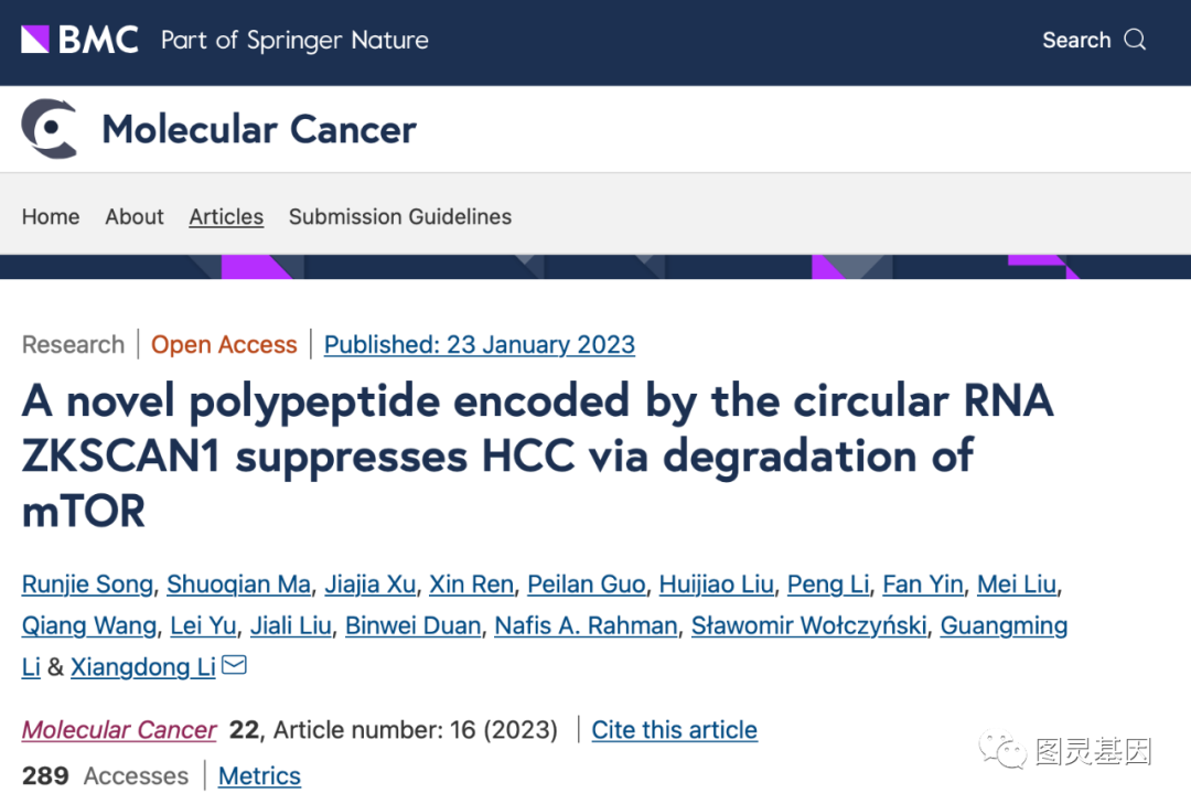 Mol Cancer ｜ 环状RNA编码多肽通过mTOR降解抑制HCC - 知乎