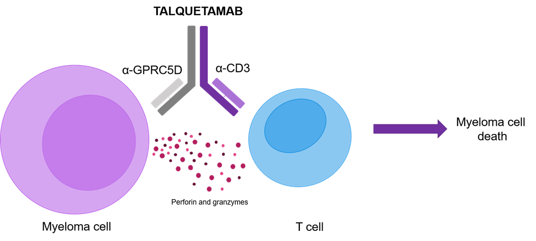 首创GPRC5D/CD3双抗Talquetamab获FDA批准上市！四线后复发/难治MM患者ORR达73.6%！ - 知乎