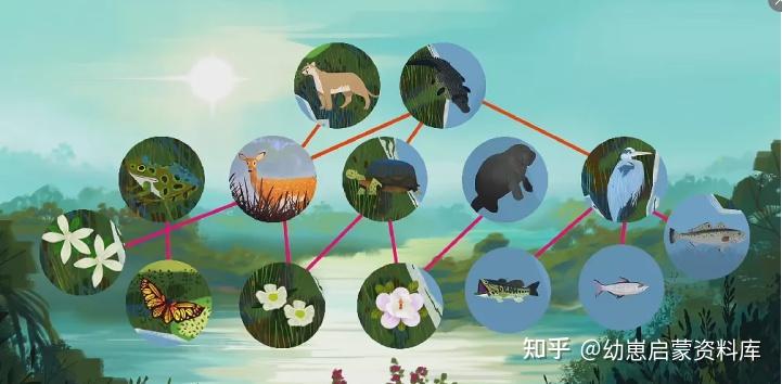 TED-ed《Awesome Nature 了不起的自然》系列科普动画128集全（带外挂字幕） - 知乎