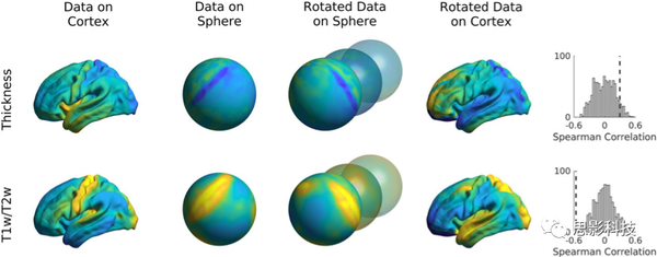 BrainSpace—分析神经影像和连接体的大尺度梯度的工具箱 - 知乎