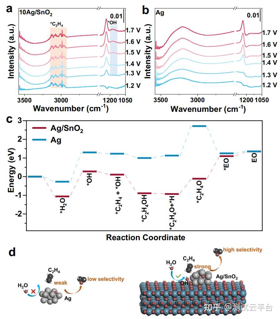巩金龙，Nature子刊！ - 知乎
