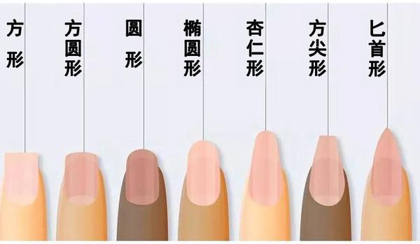 美甲小 妙”招 这七种不同美甲甲型的特点你知道吗? 知乎