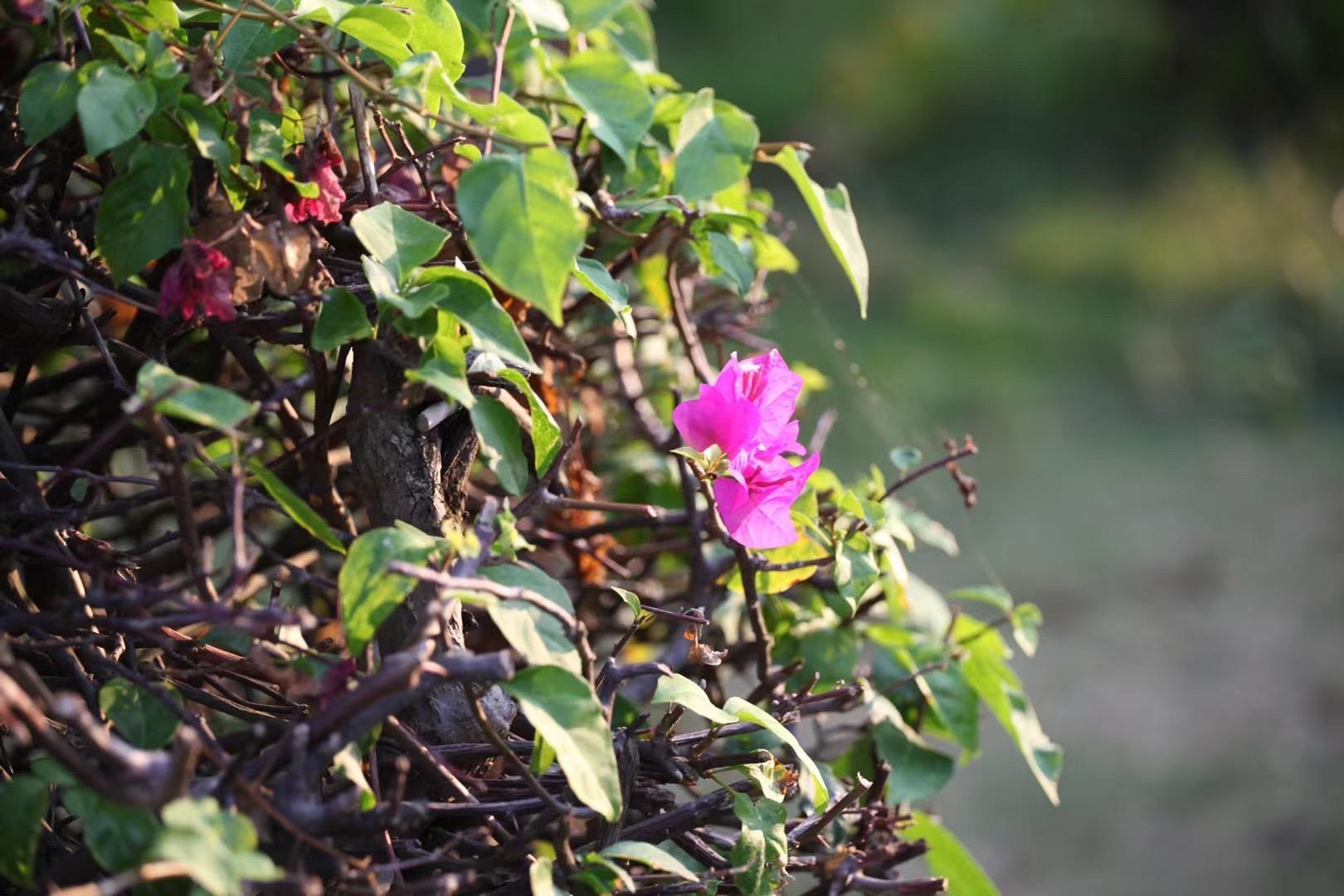 Serious Python - 讲讲python中的“方法”(method) - 知乎