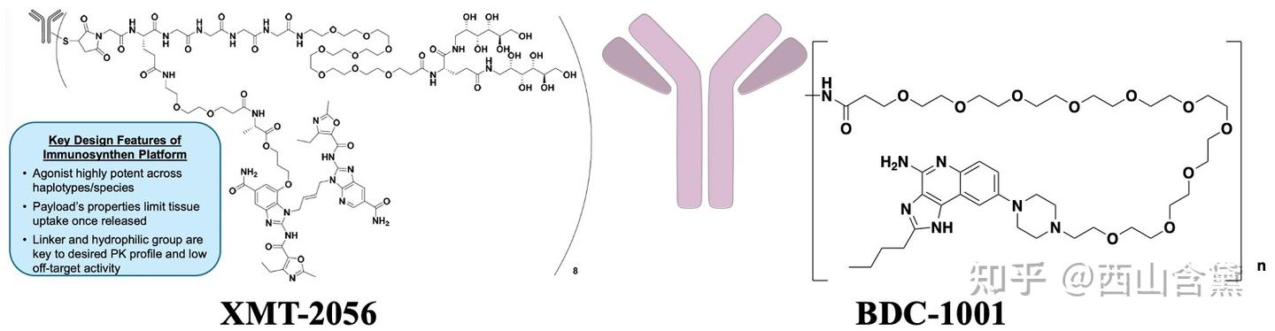 前“撤”可鉴(四)-Immune-stimulating antibody conjugate (ISAC) - 知乎