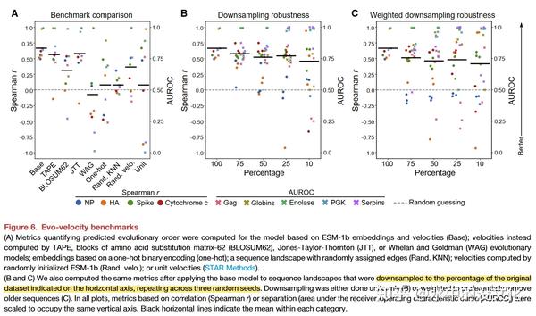 蛋白质语言模型能够预测不同蛋白质的Evolutionary Dynamics - 知乎