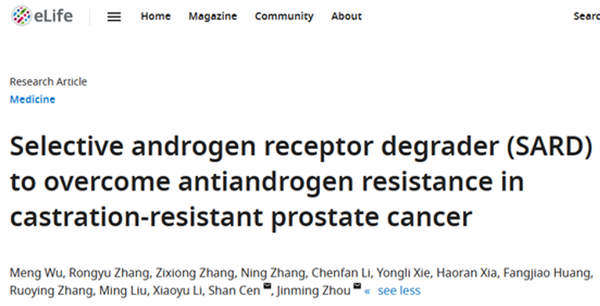 eLife︱周金明团队等发现一类新型选择性雄激素受体降解剂 - 知乎
