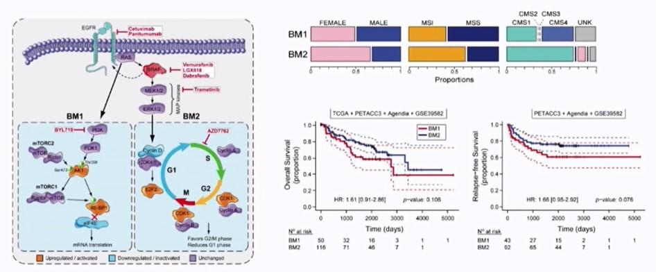 基因&用药 ‖ BRAF V600E突变靶向药物在结直肠癌中的研究进展-上 - 知乎