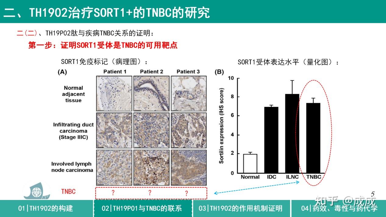 文献解读| TH1902，一种新的多西他赛肽偶联物，用于治疗sortilin阳性的三阴性乳腺癌 - 知乎