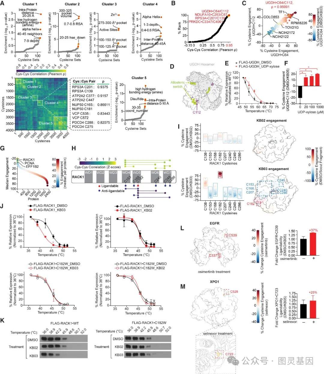 Cell ｜ 哈佛医学院开发DrugMap，系统识别可被共价抑制剂靶向的位点 - 知乎