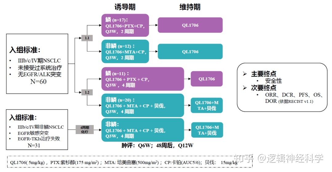 STTT︱中山大学肿瘤医院张力/方文峰团队发表一项多队列II期研究：QL1706联合化疗加或不加贝伐单抗治疗晚期非小细胞肺癌 - 知乎