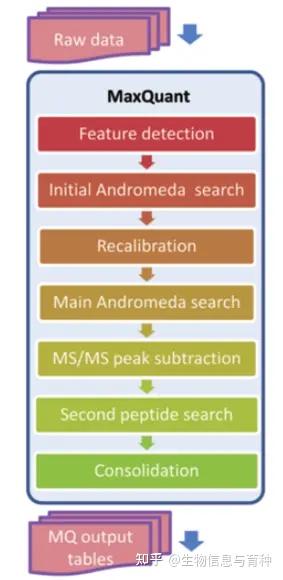 【6】蛋白质组学鉴定定量软件之MaxQuant - 知乎