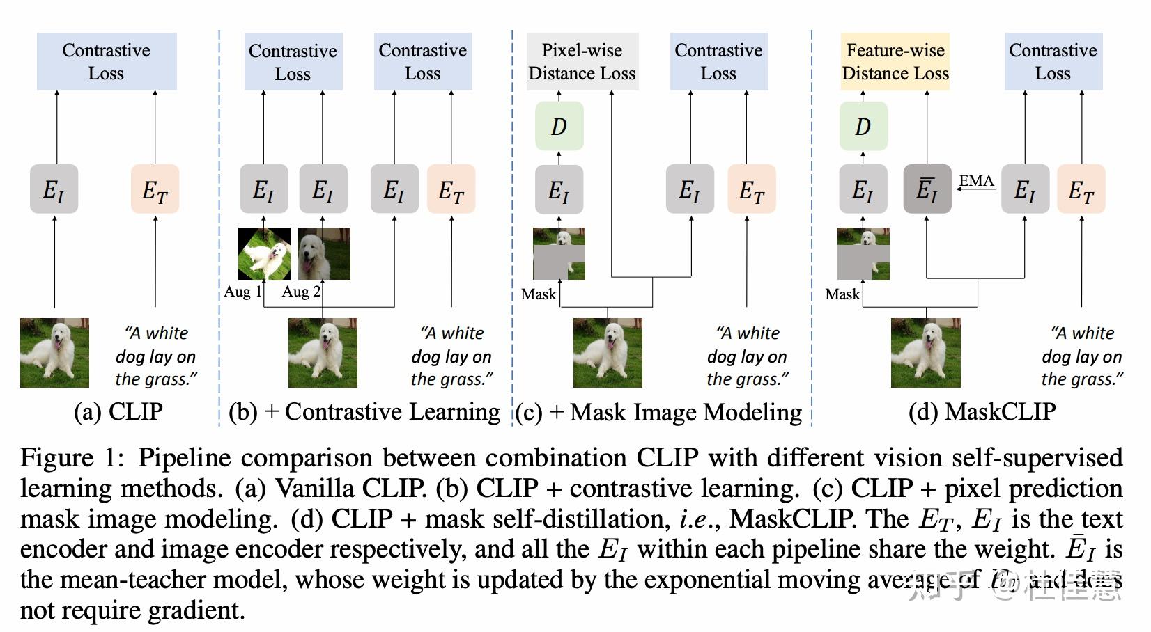 MaskCLIP: Masked Self-Distillation Advances Contrastive Language-Image ...