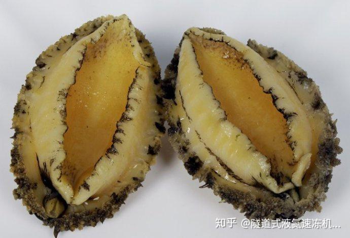 《液氮速冻知识点》鲜鲍、干鲍、液氮急冻鲍、罐头鲍到底有啥区别 - 知乎