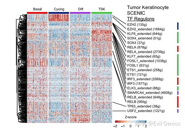 单细胞个性化分析之转录因子篇 - 知乎