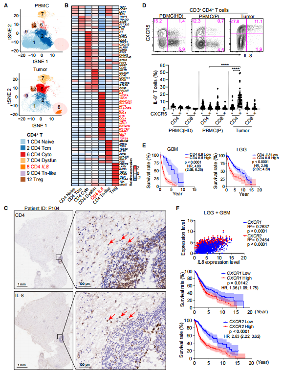 Cancer Cell | 38+的ICB治疗是如何设计的 - 知乎