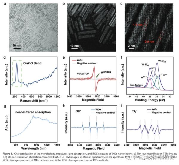【Adv.Funct.Mater】具有温和ROS清除和抗菌能力的超薄WOx纳米带有效诱导M2巨噬细胞极化-华中科技大学 - 知乎