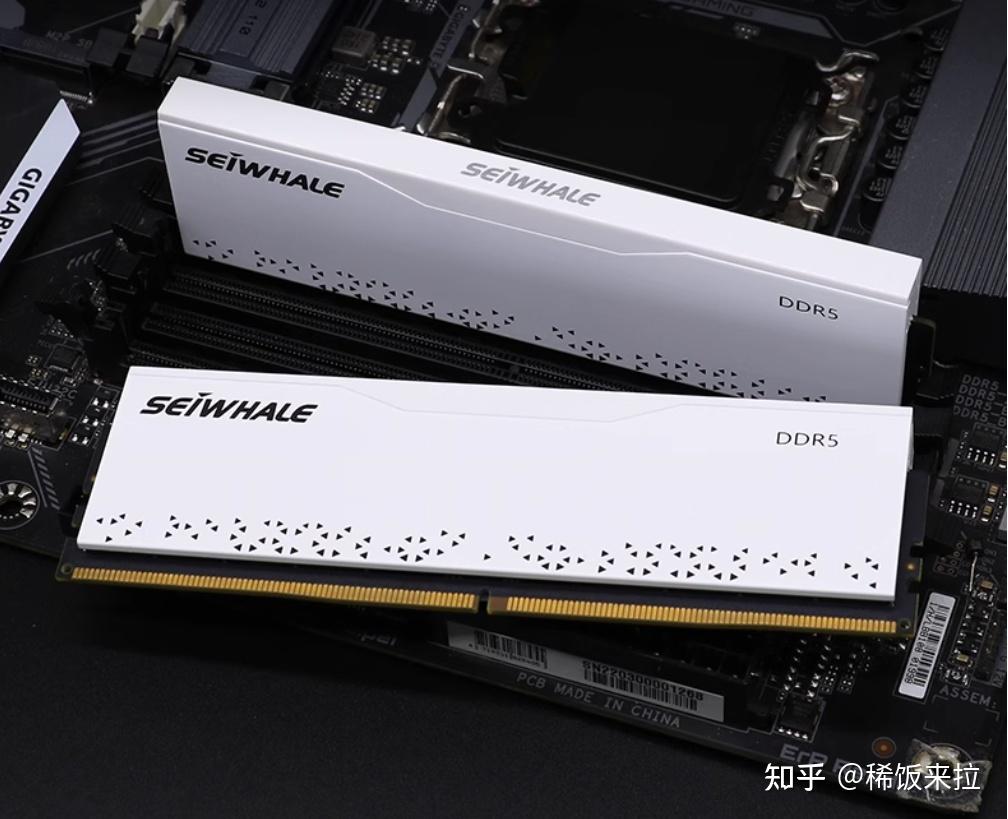 618高性价比DDR4和DDR5内存条值得入手的内存条合集 - 知乎