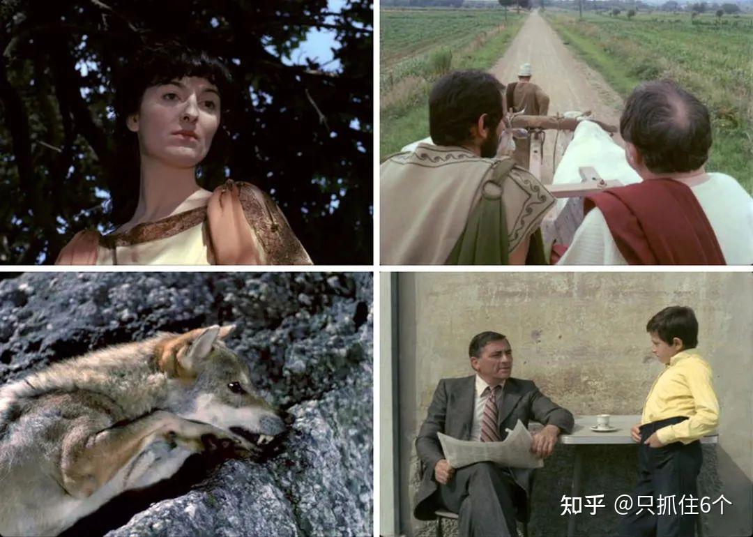 奥林匹娅·卡尔立斯（Olimpia Carlisi） - 知乎