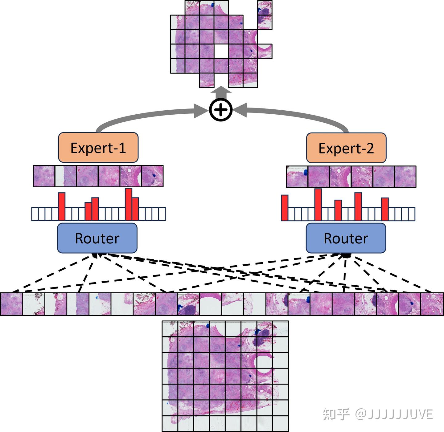 [CVPR 2025] Learning Heterogeneous Tissues with Mixture of Experts for ...