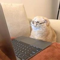 FPSAttention：量化+稀疏组合加速 Diffusion 视频生成 - 知乎