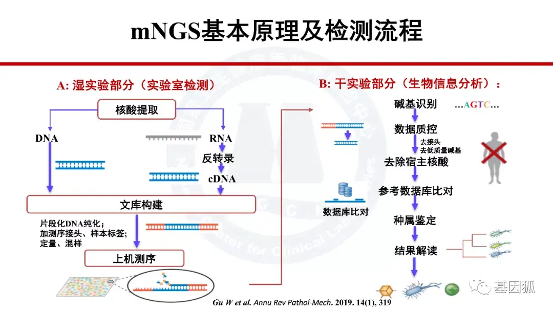 李金明：mNGS的临床应用：目前的关键问题及对策思考 - 知乎