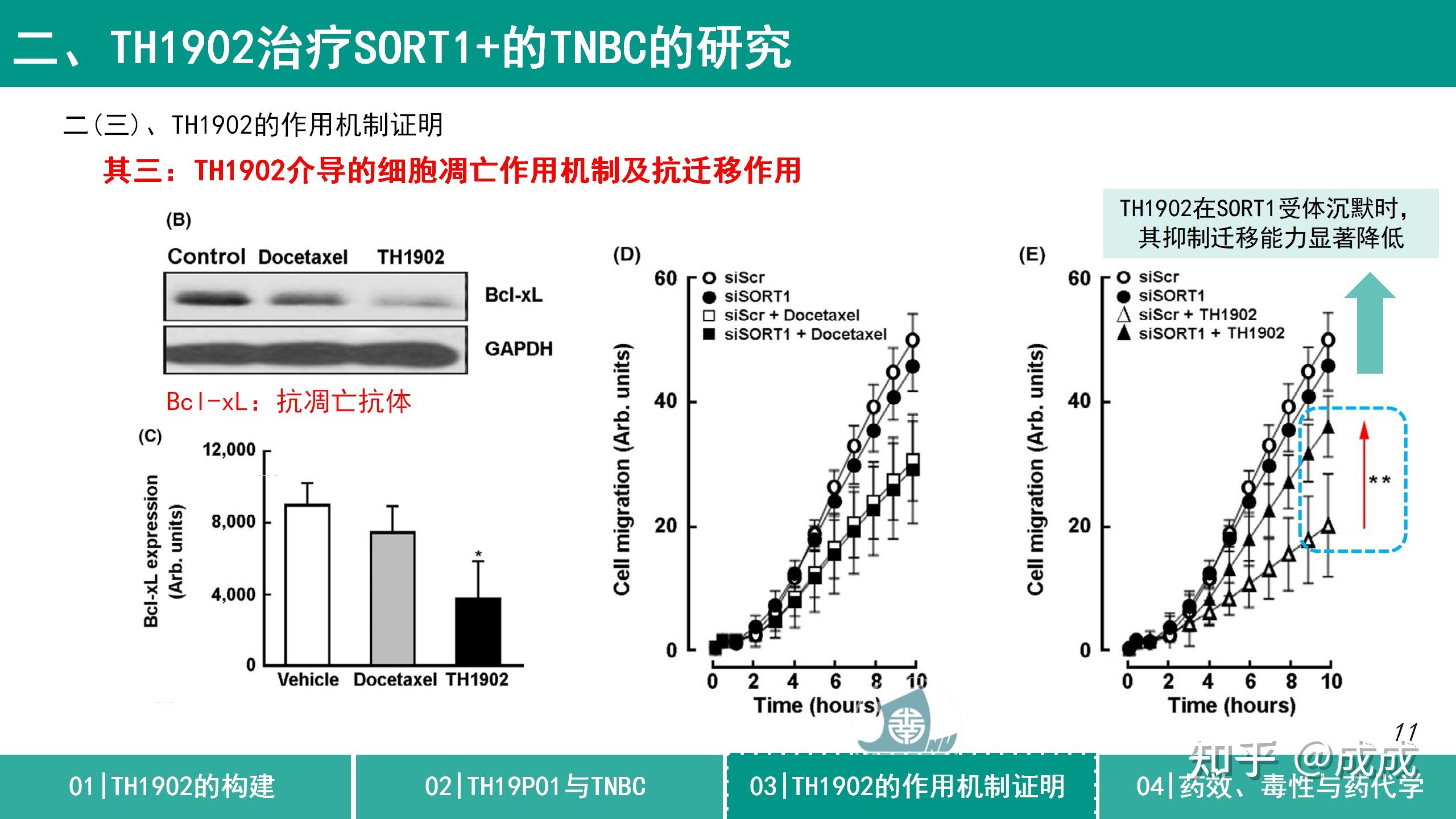 文献解读| TH1902，一种新的多西他赛肽偶联物，用于治疗sortilin阳性的三阴性乳腺癌 - 知乎